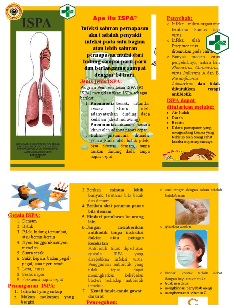 Leaflet ISPA PUSKESMAS | PDF