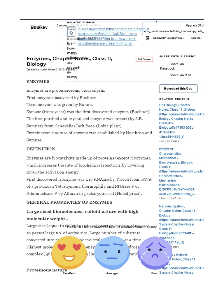 Enzymes, Chapter Notes, Class 11, Biology: Edurev | PDF | Enzyme ...