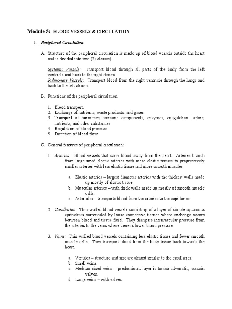 Blood Vessels Circulation | Download Free PDF | Aorta | Blood Vessel