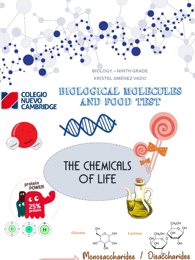 Biological Molecules and Food Test PDF | PDF