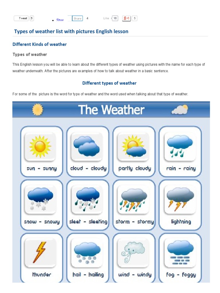Weather Types