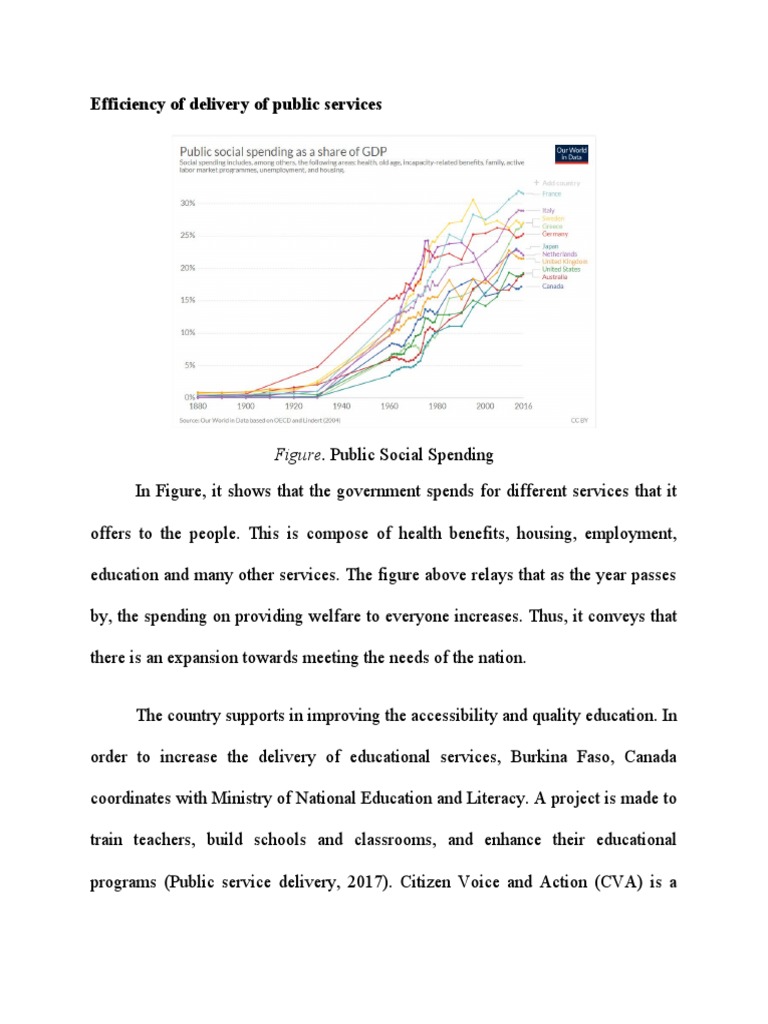 Enhancing Public Service Delivery Efficiency | PDF | Policy | Health Care