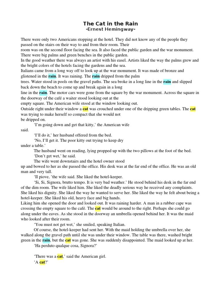 Cat in The Rain by Ernest Hemingway | PDF | Leisure