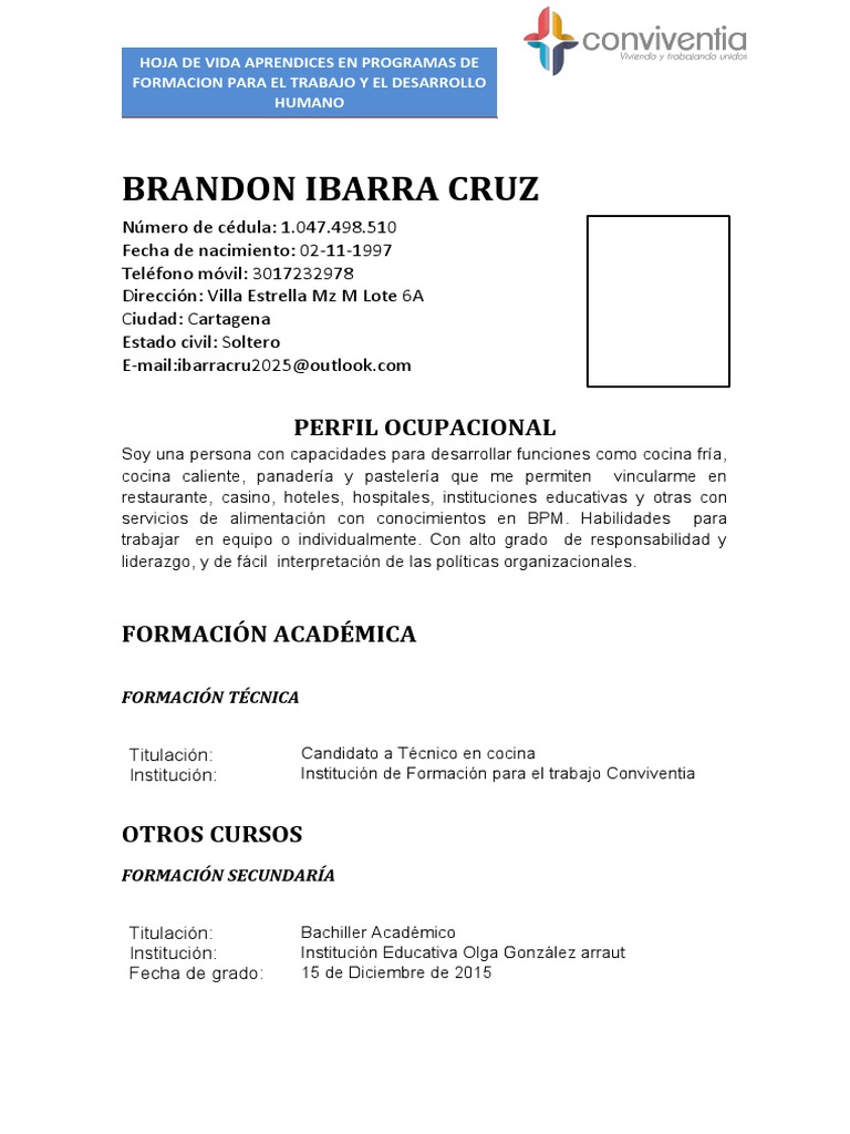 Modelo de Hoja de Vida Conviventia Cocina Brandon Ibarra | PDF