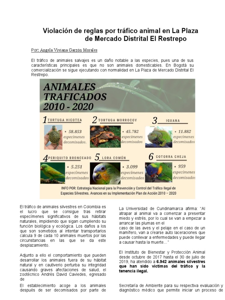 Informe Especial Final Sobre Tráfico Ilegal de Animales en La Plaza ...
