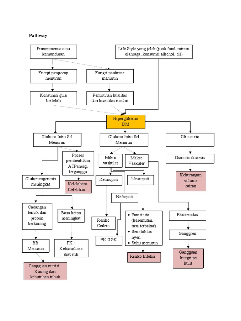 Pathway Lansia Dengan DM | PDF