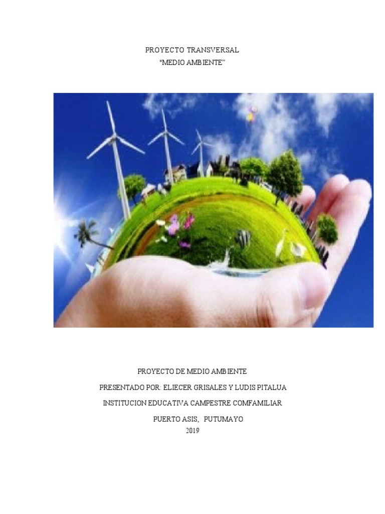 Proyecto de Medio Ambiente 2019 | PDF | Entorno natural | Residuos