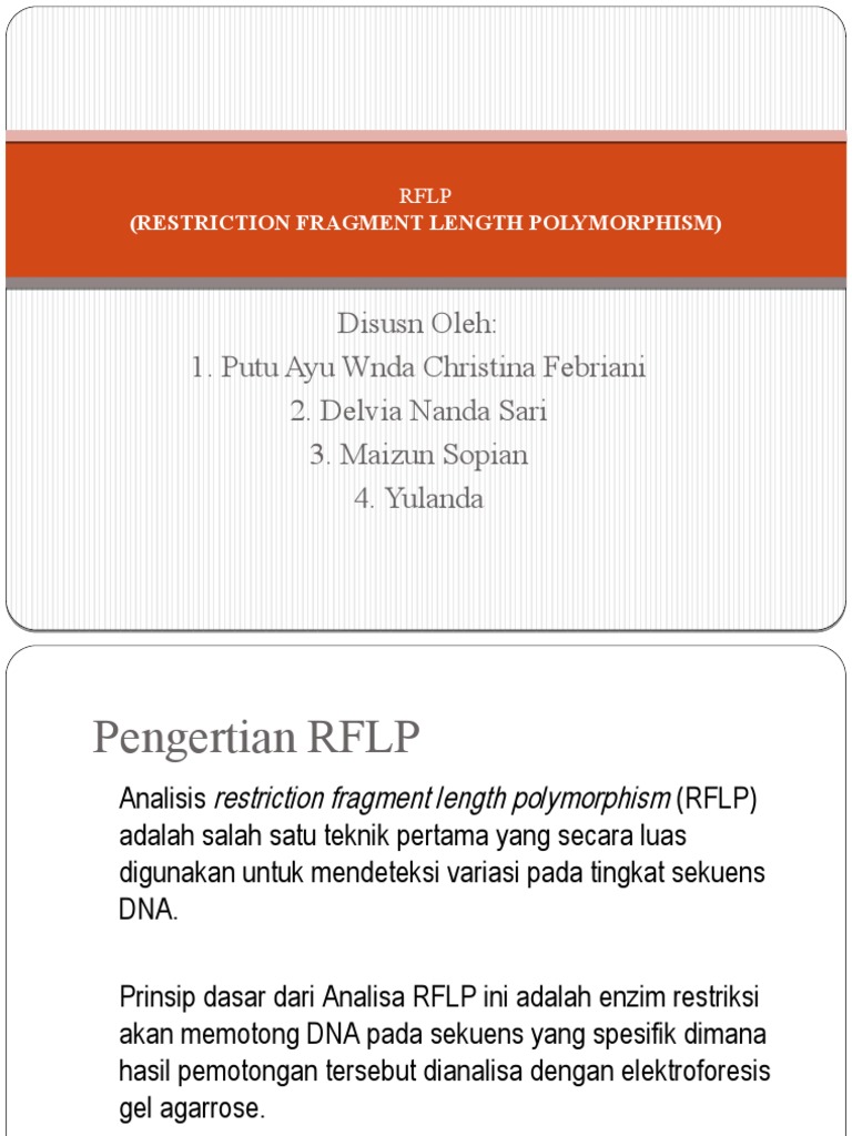 Analisis RFLP: Teknik dan Proses | PDF