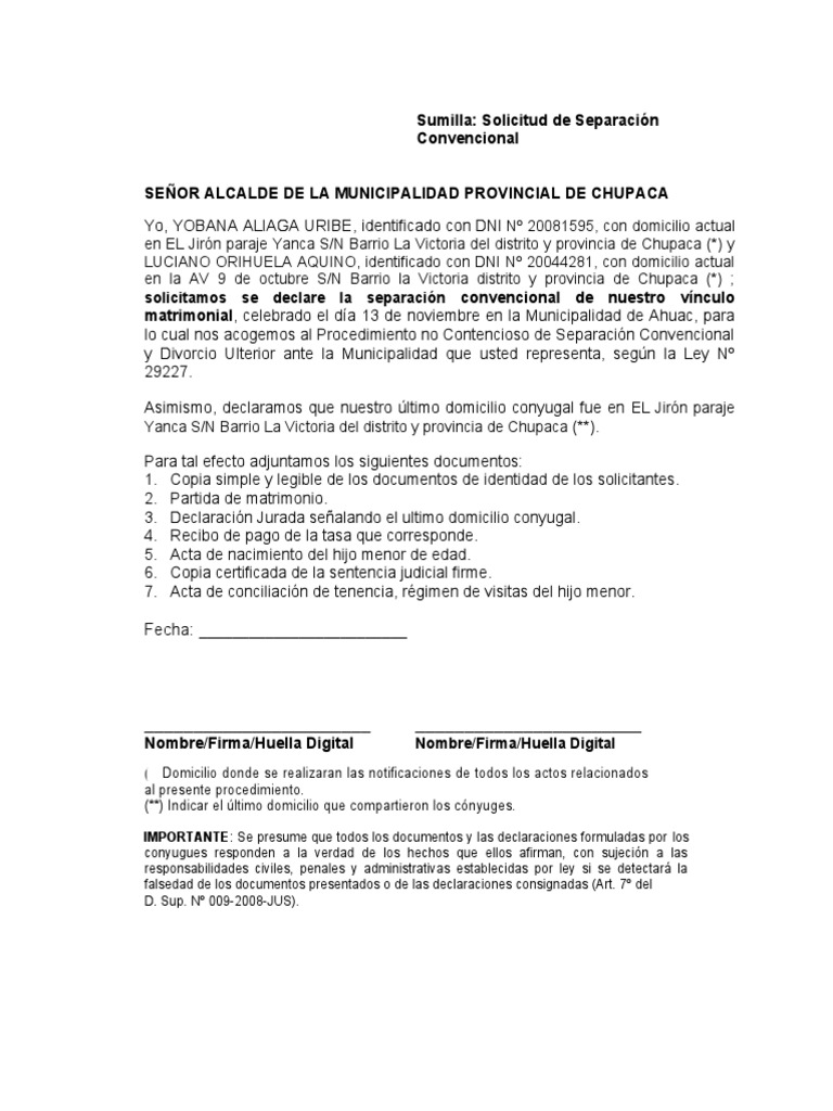 02 Modelo de Solicitud Divorcio | PDF | Divorcio | Gobierno