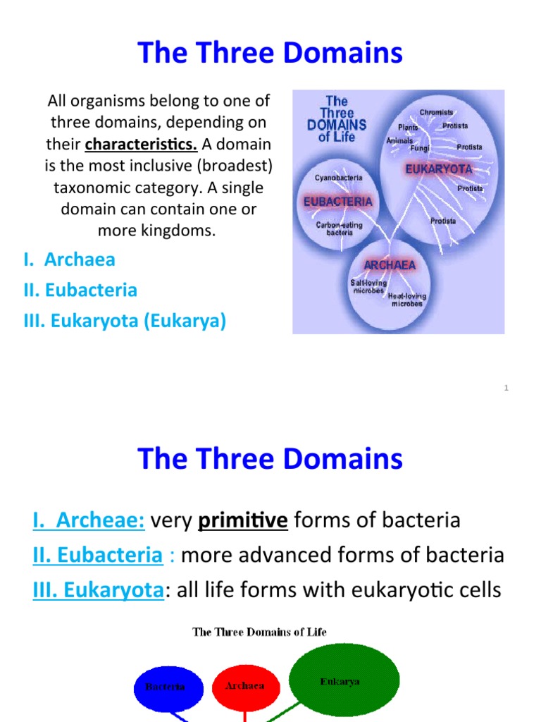 Domains Of Life