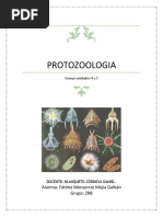 Radiolarios: Taxonomía y Aplicaciones | PDF | Biología Celular | Anatomía