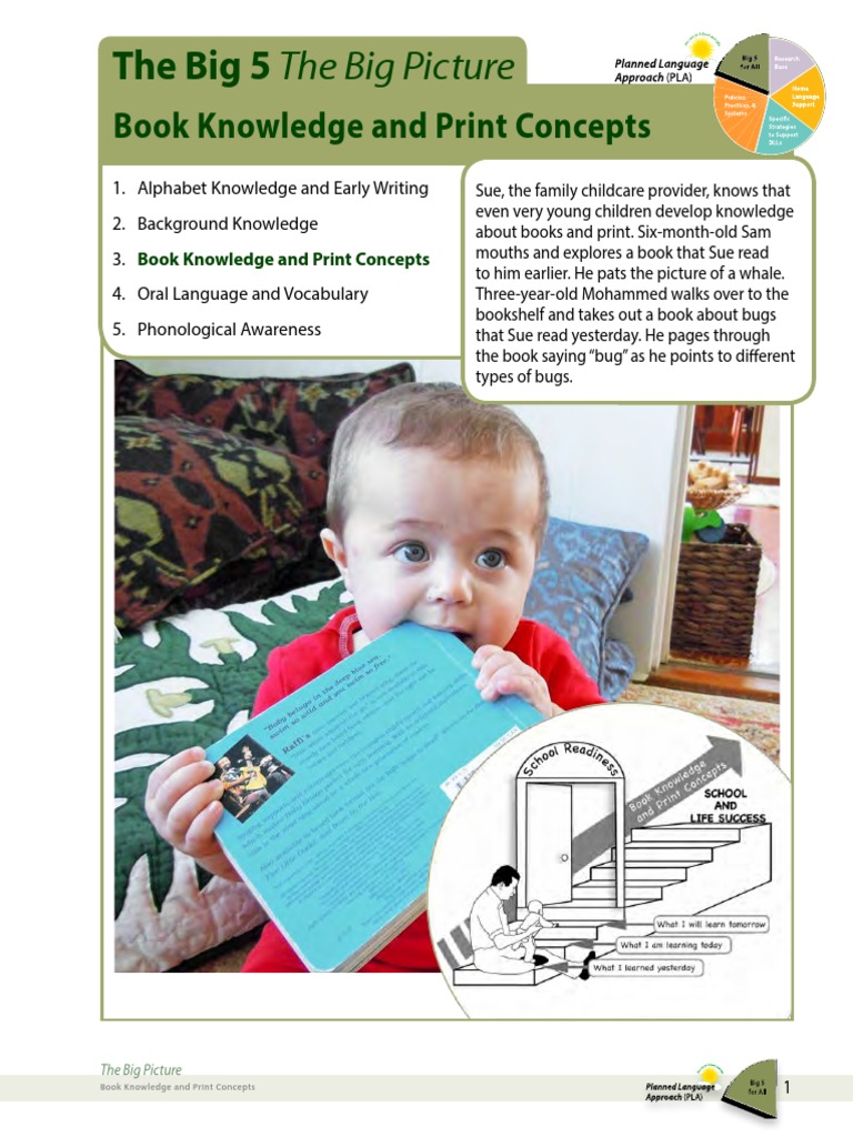 Big5 Big Picture Book Knowledge Eng PDF | Download Free PDF | Books ...