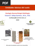 Factores Edáficos del Suelo: Horizontes y Propiedades | PDF | Suelo