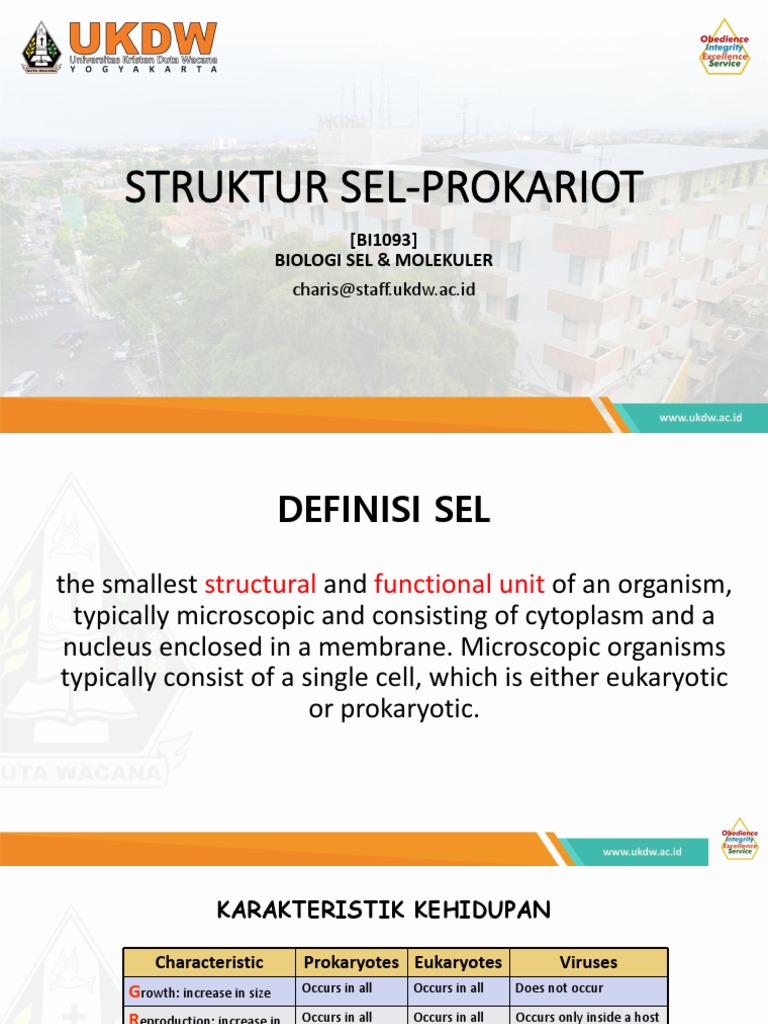 Struktur Sel-Prokariot: (BI1093) Biologi Sel & Molekuler | PDF ...