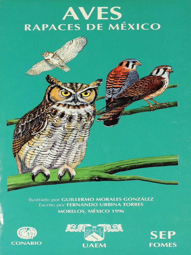aves rapaces de México.pdf | PDF