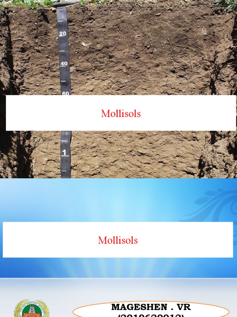 Mollisol - Order Description, Characterization, Pedogenic Processes ...
