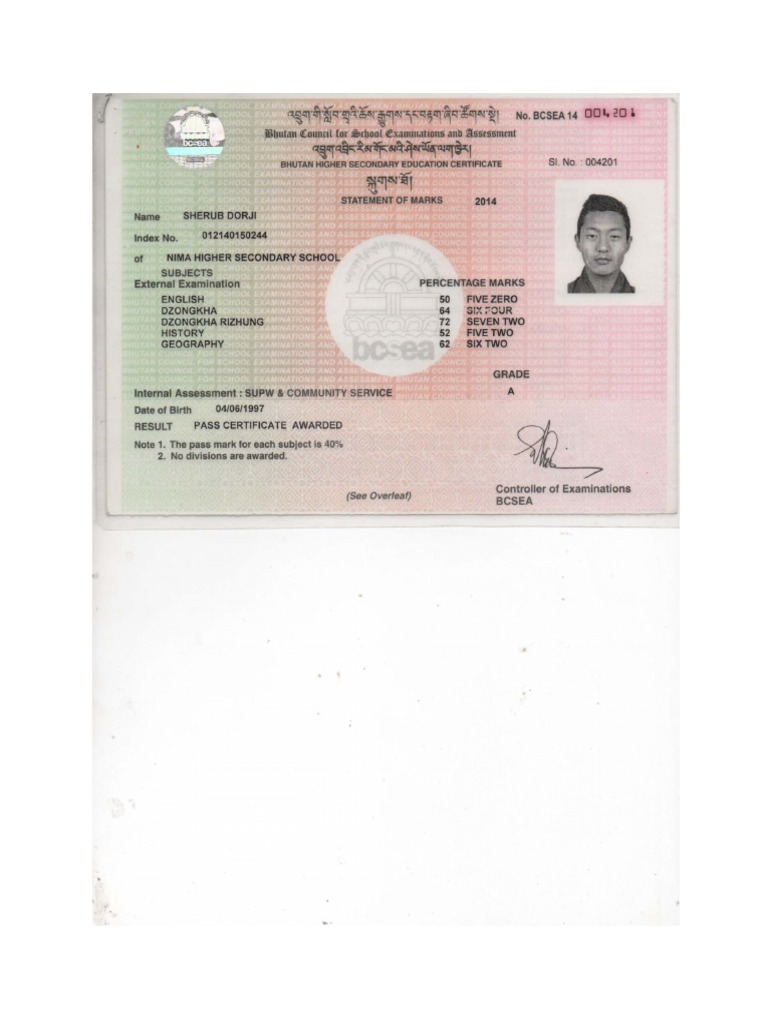 Class 12 Marksheet 1 | PDF