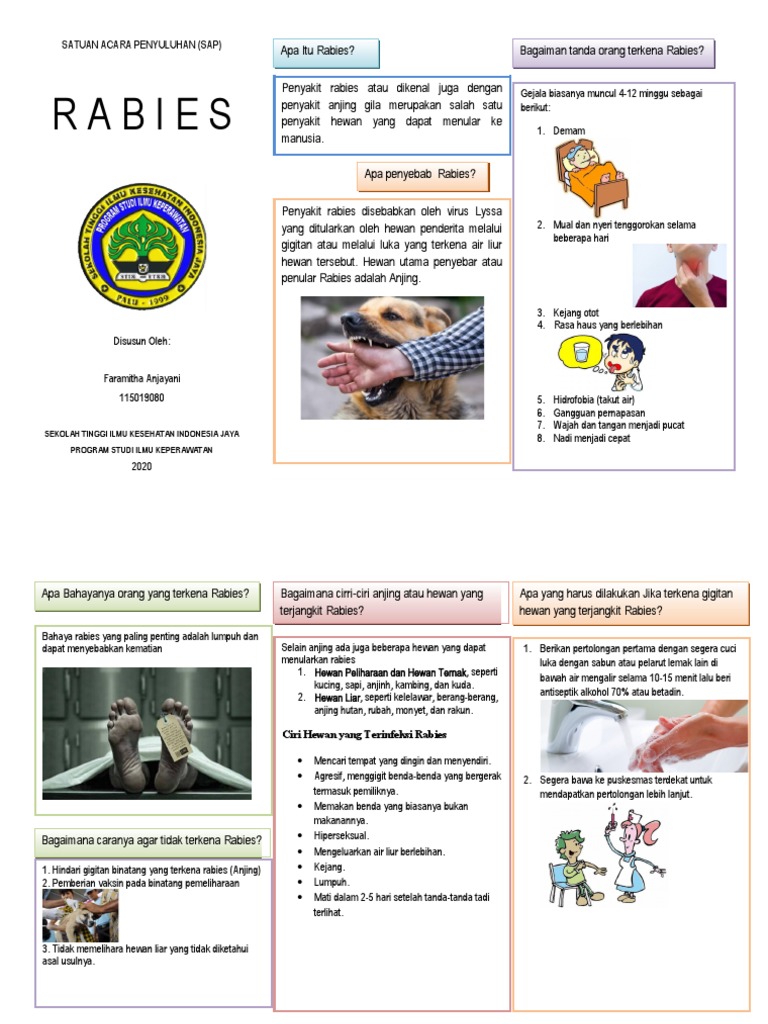 Leaflet Rabies | PDF