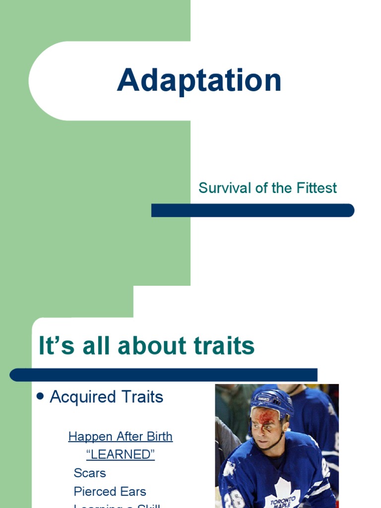 Understanding Adaptations in Organisms | PDF | Adaptation | Charles Darwin