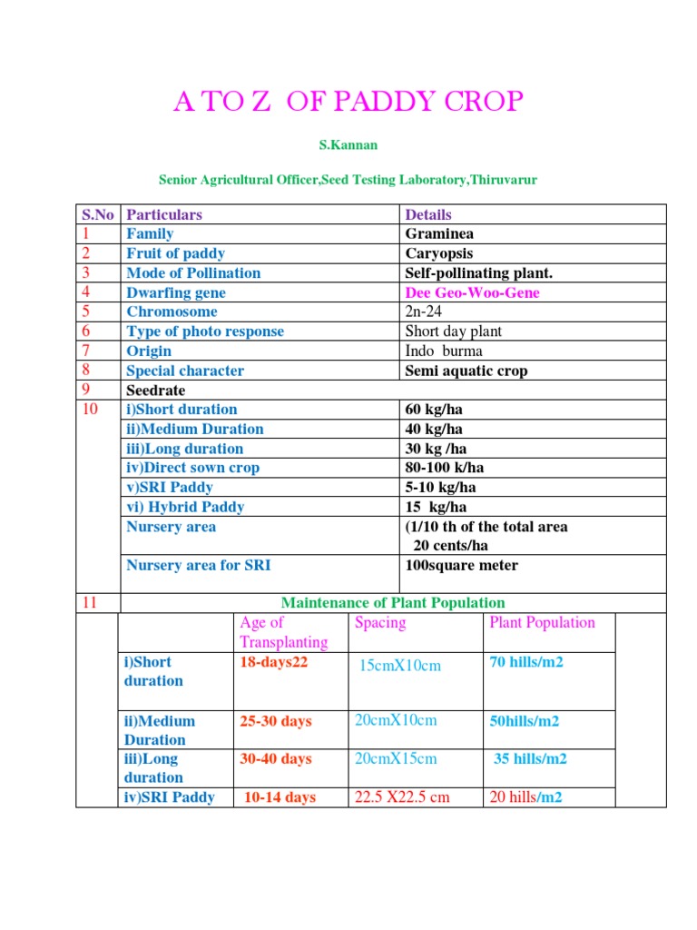 Comprehensive Guide to Paddy Cultivation | PDF | Rice | Crop Rotation