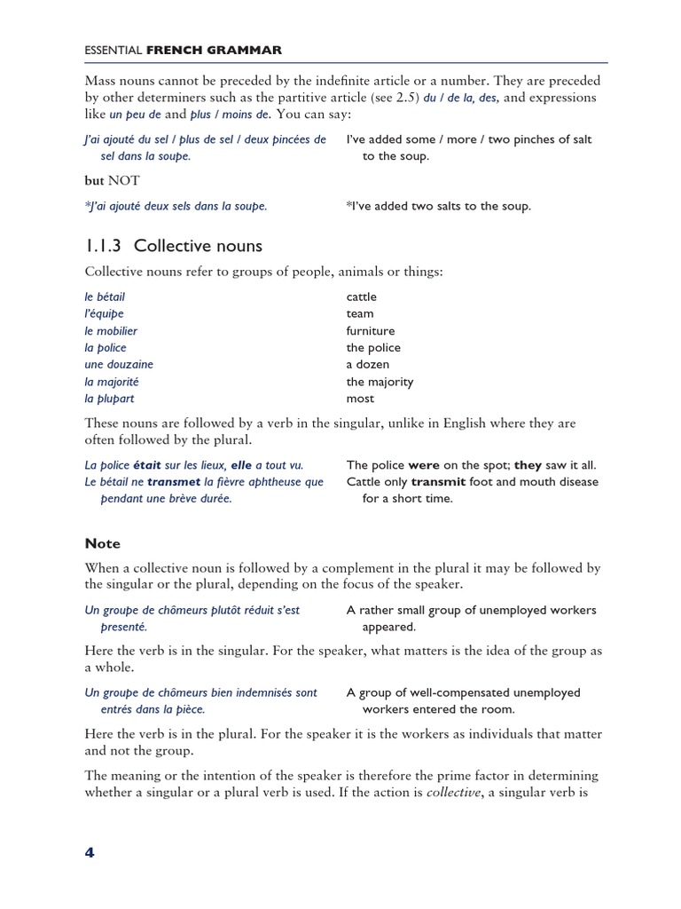 Essential French Grammar Explained | PDF