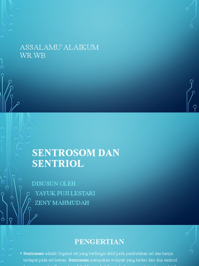 Sentrosom Dan Sentriol | PDF
