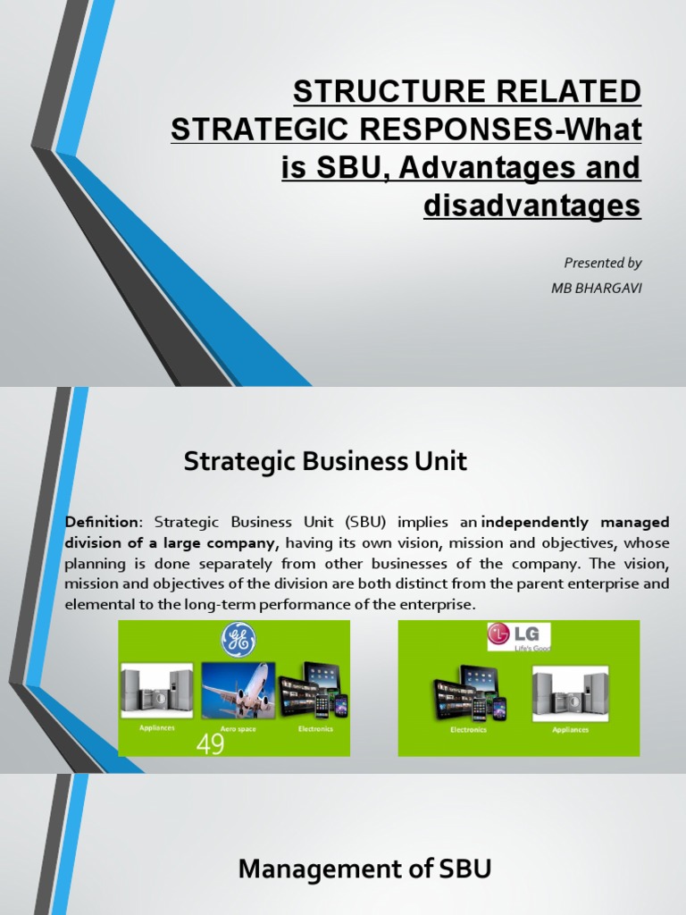 Sbu Meaning, Advantages and Disadvantages | PDF