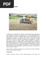 Ficha Técnica Del Pasto Marandú (Brachiaria Brizantha Cv. Marandú ...