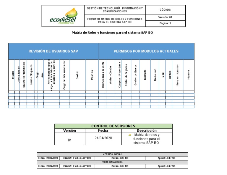 Formato Matriz de Roles y Funciones para El Sistema Sap Bo | PDF | Sap ...