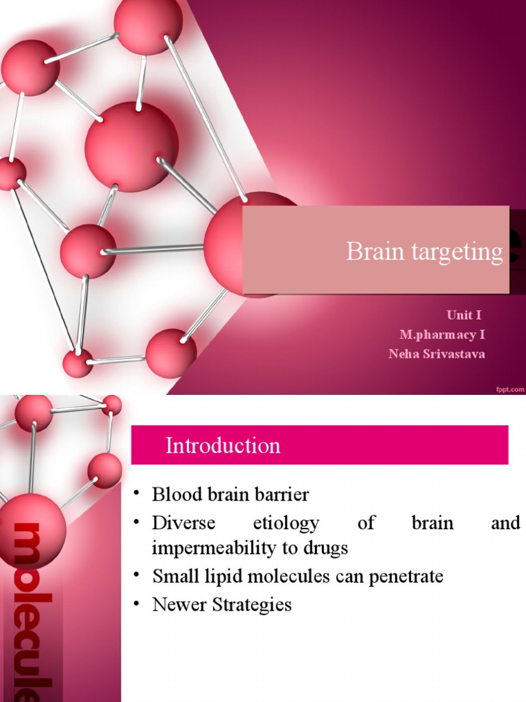 Brain Targeting | PDF | Cell Membrane | Metabolism
