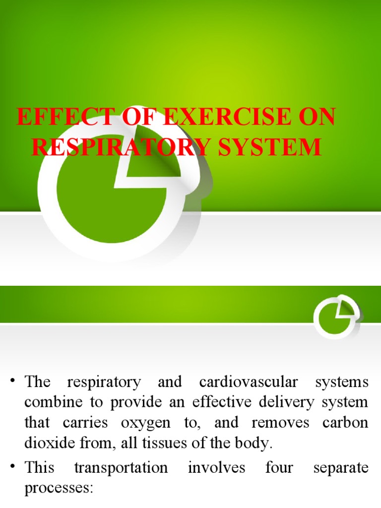 Effect of Exercise On Respiratory System | PDF