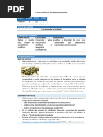 Sesion - de - Aprendizaje Clasificacion de Las Plantas | PDF | Plantas ...