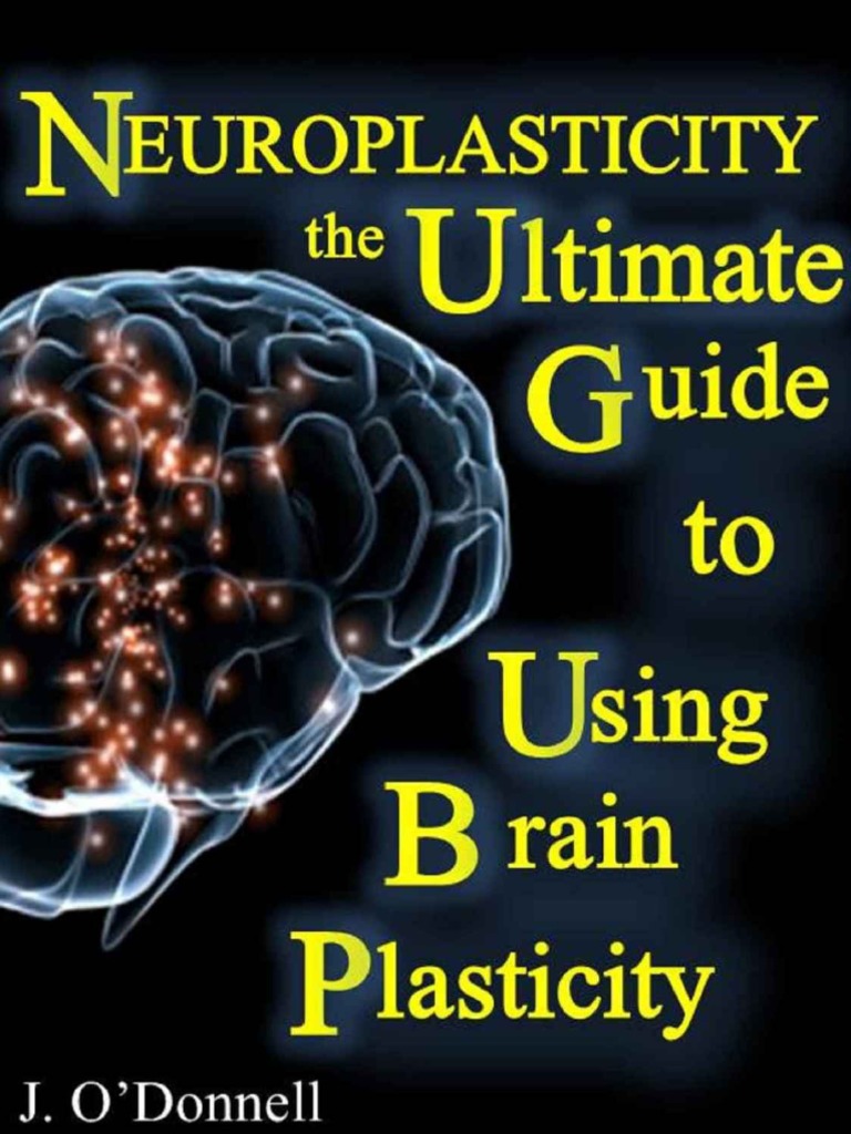 Rewire Your Brain with Neuroplasticity | PDF | Neuroplasticity | Stress ...