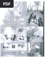 Pirámide de Kelsen, Seguridad e Higiene Industrial | PDF | México | Derecho laboral