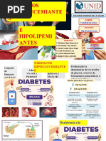 Mapa Conceptual de La Fisiopatologia de La DM2 | PDF | Tejido adiposo ...