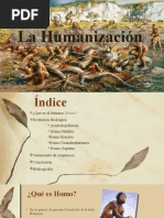 Dryopithecus | PDF | Hominidae | Homo Sapiens