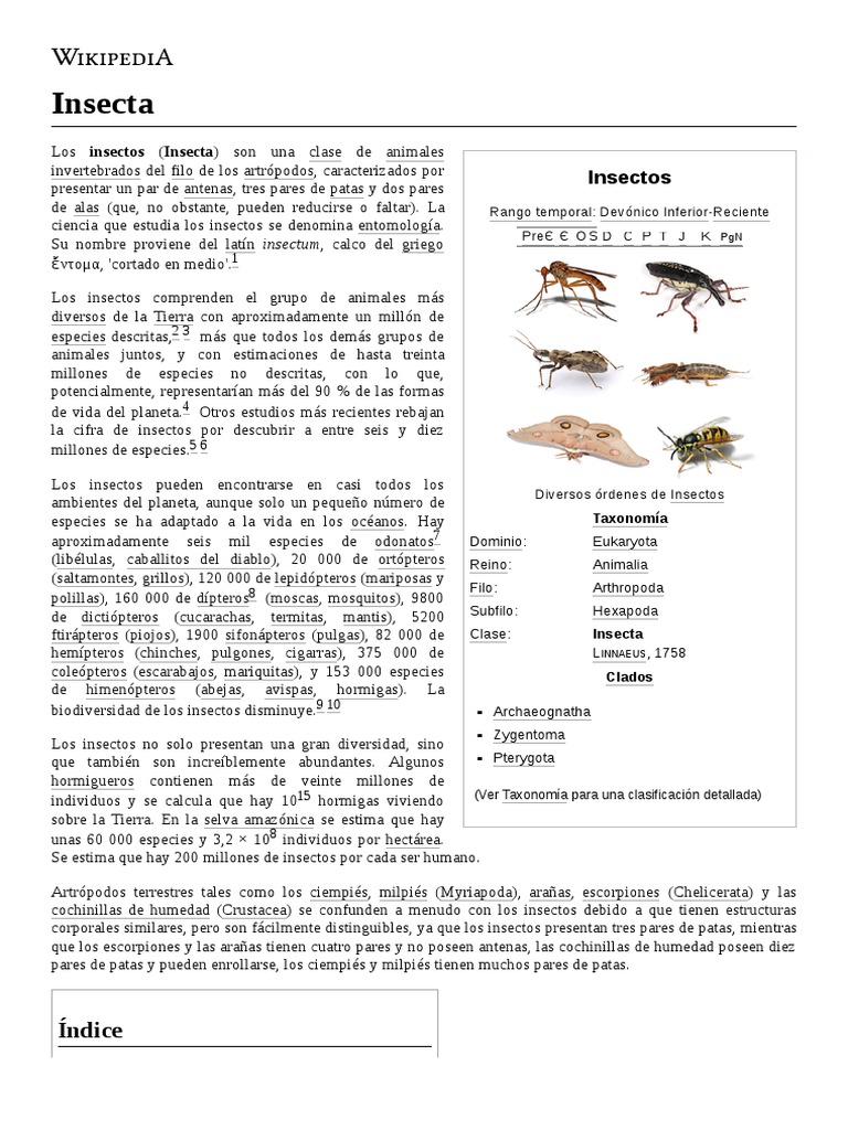 Insecta | PDF | Insectos | Huevo