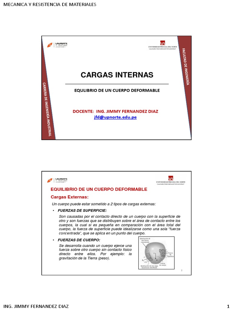 Cargas internas y externas en elementos estructurales | PDF ...