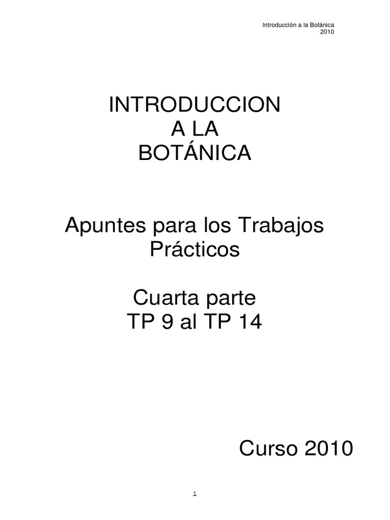 Anatomía Del Cormo | PDF | Tallo de la planta | Raíz