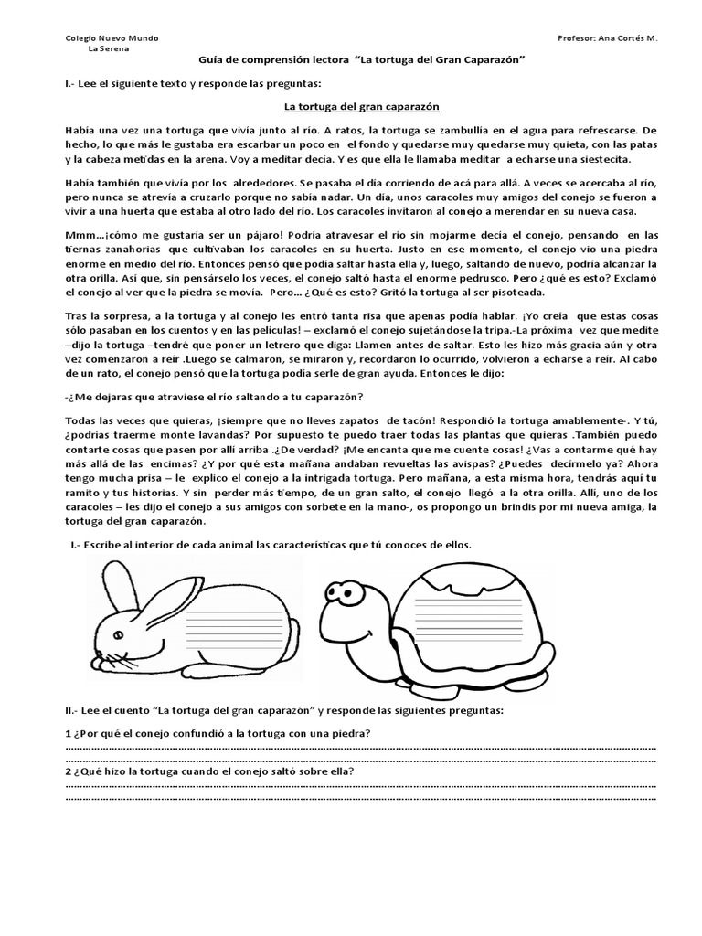 Guía de Comprensión Lectora - La Tortuga Del Gran Caparazón | PDF ...