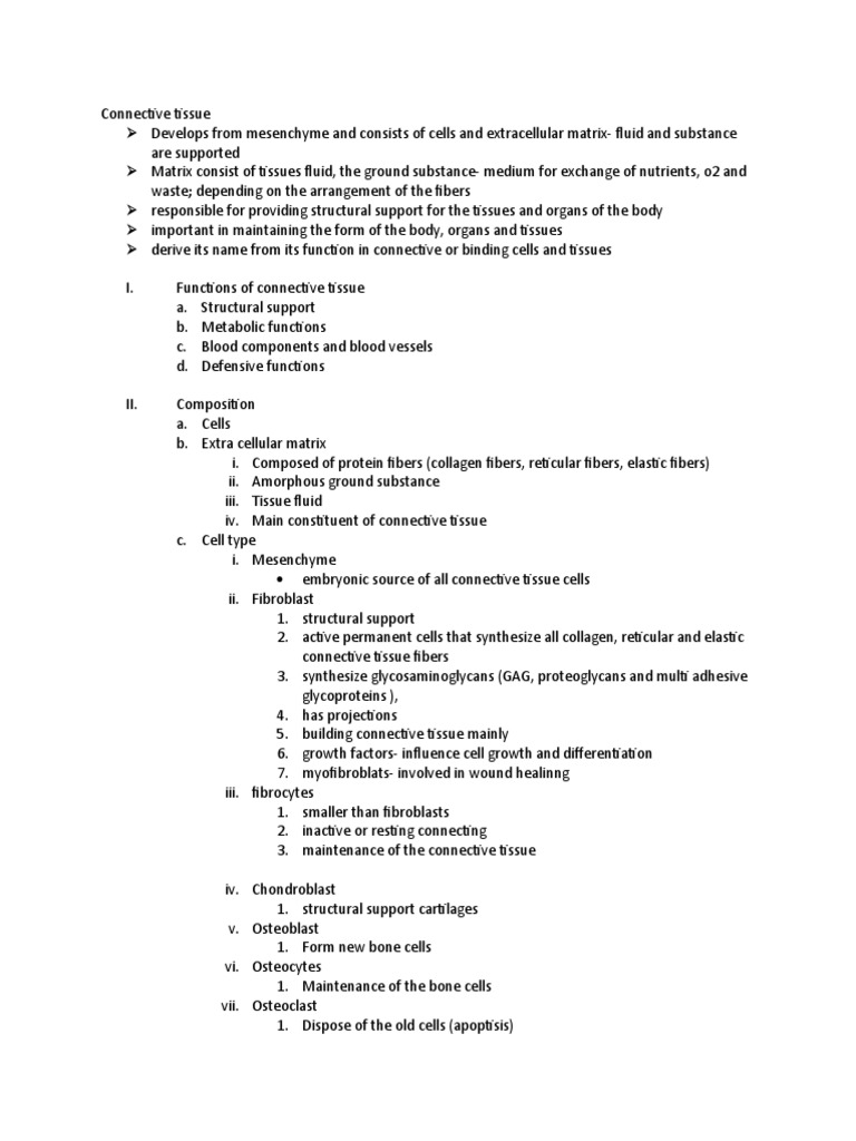 Connective Tissue Notes | Download Free PDF | Connective Tissue ...