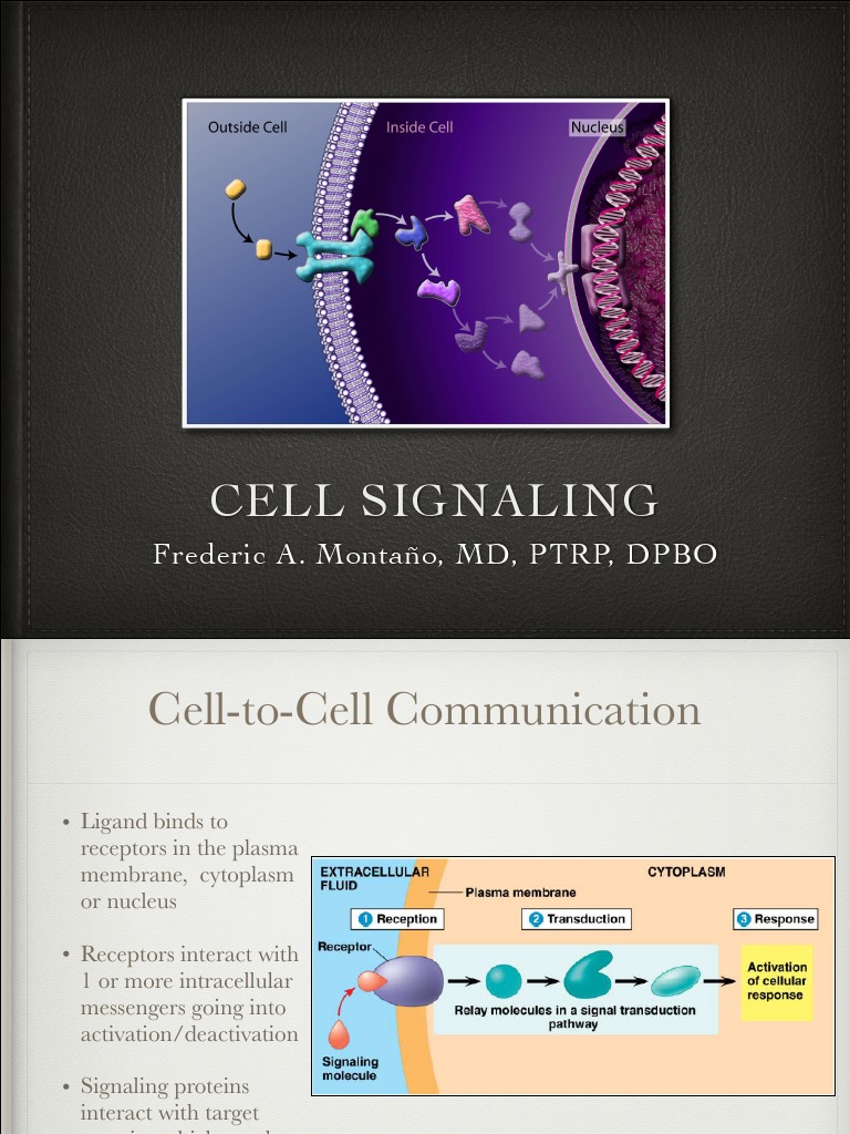 Cell Signaling | PDF | Cell Signaling | Signal Transduction