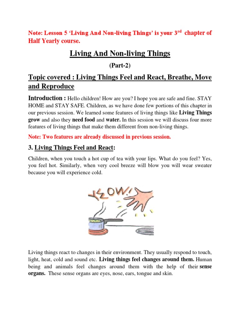 Living Things Part 2 Sc. Class 3 | PDF | Reproduction | Egg