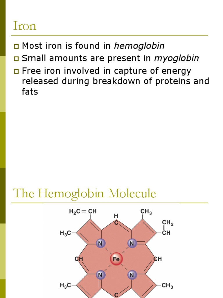 Understanding Iron's Vital Role in the Body and the Consequences of ...