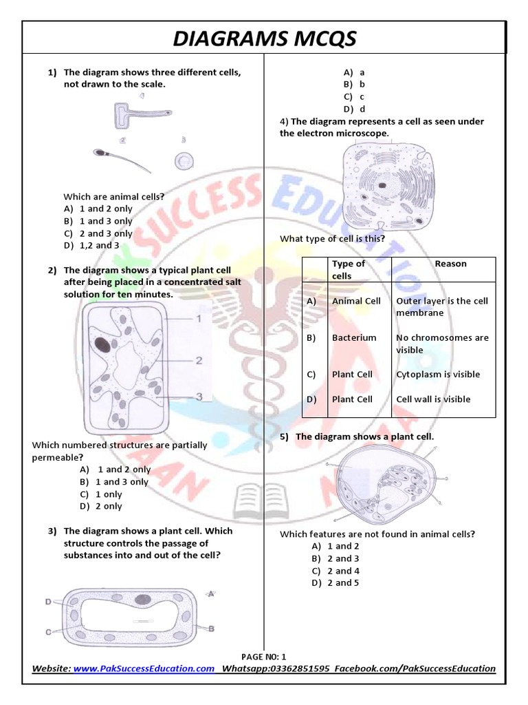 Biology Diagram Mcqs | PDF | Digestion | Blood