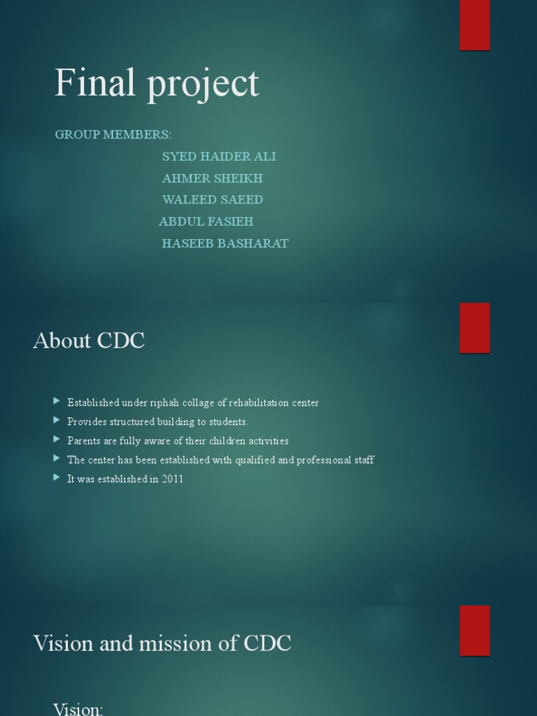 Child Development Project Riphah | PDF