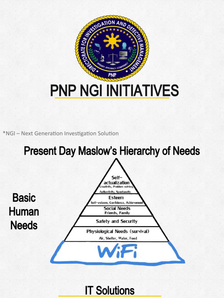 DIDM NGIS Presentation | PDF | Carjacking | Computer File