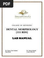 Dental+anatomy+Handout+1 | PDF | Dental Anatomy | Human Tooth