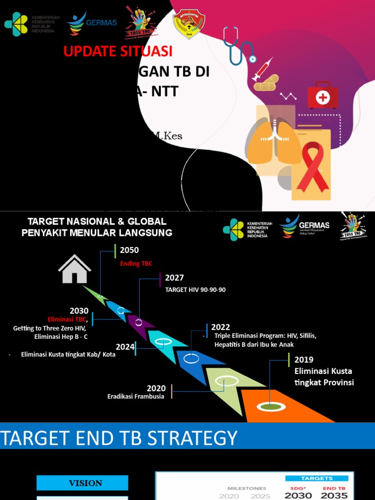 Kebijakan Program TB TCM | PDF