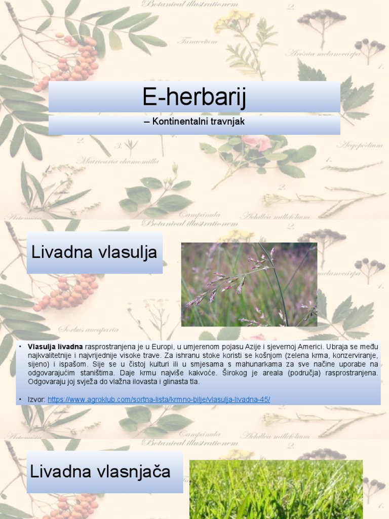 E Herbarij | PDF